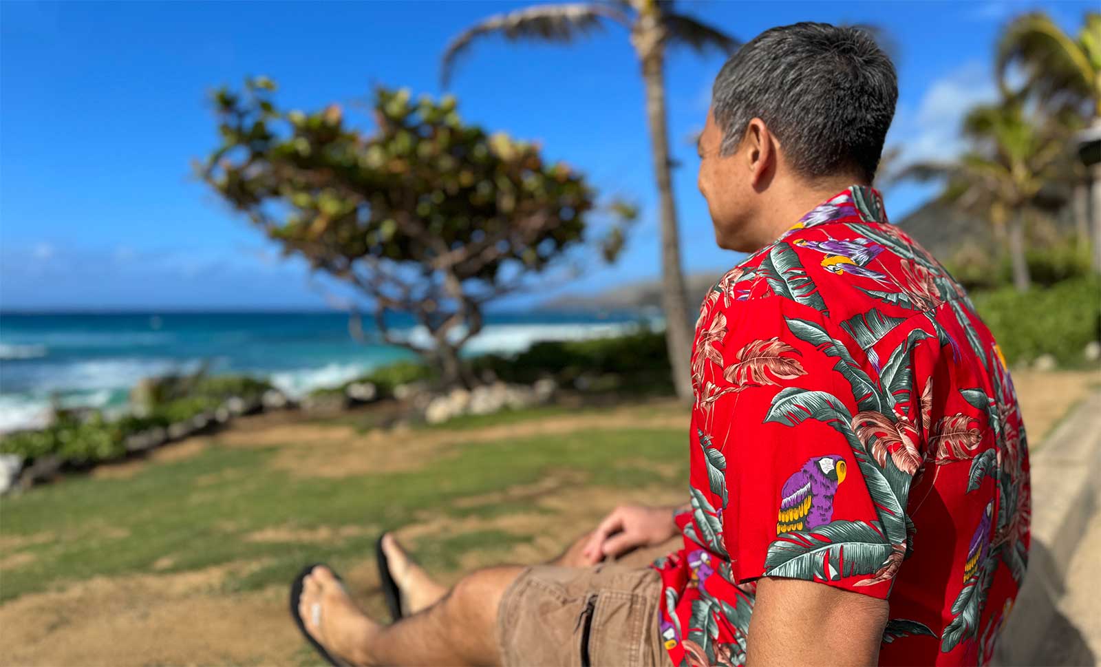 Top Ten Shirts of 2024 – AlohaFunWear.com